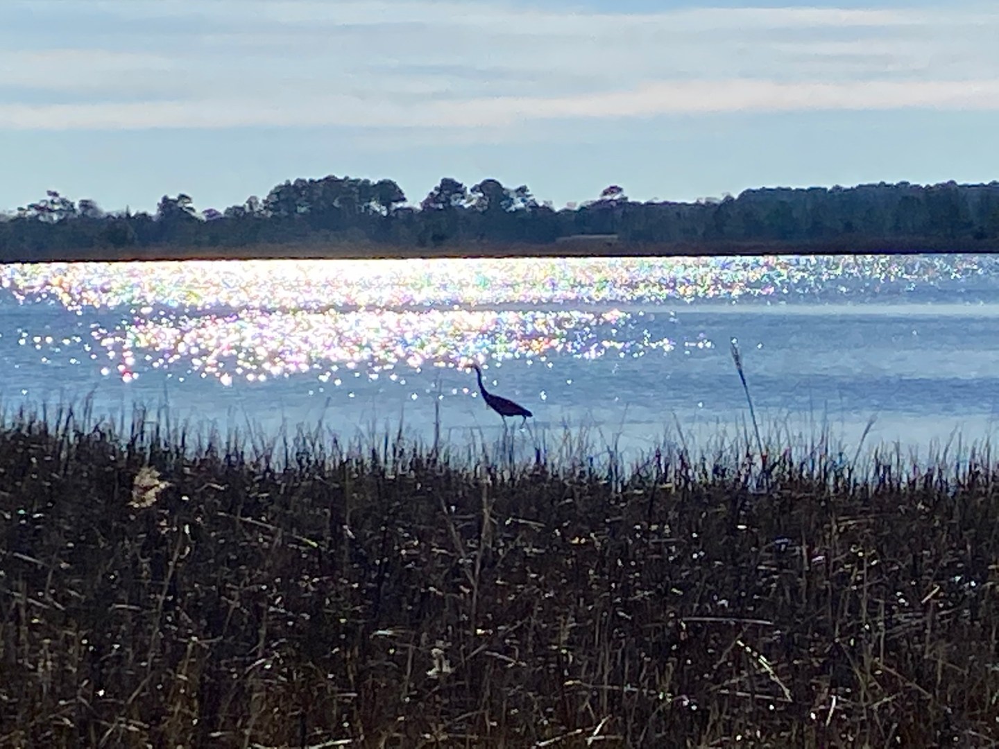 Guide to Mid-Atlantic Beaches: Assateague to Rehoboth – dink Travelers