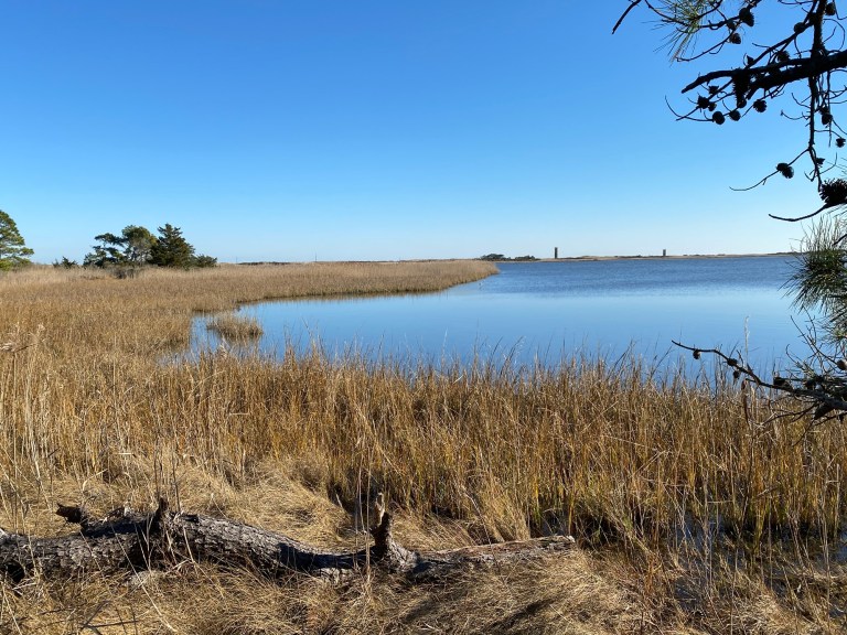 Guide to Mid-Atlantic Beaches: Assateague to Rehoboth – dink Travelers